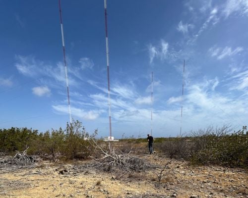 Interns With Impact 2024: Ryan, Engineering Intern - TWR Website